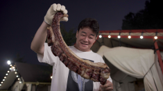 Hanwoo (Korean Beef) Rhapsody