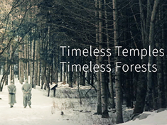 Timeless Temples, Timeless Forests
