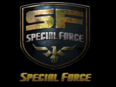 Online Mobile Game Special Force