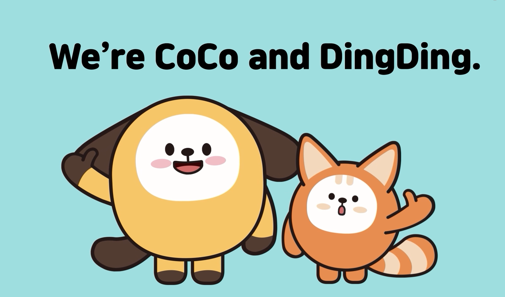 COCO DINGDING | WelCon marketplace