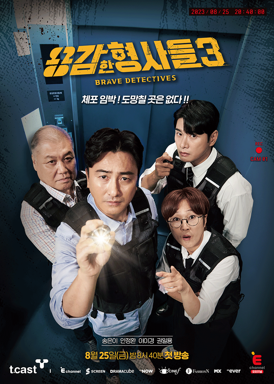 Brave Detectives 3 | WelCon marketplace