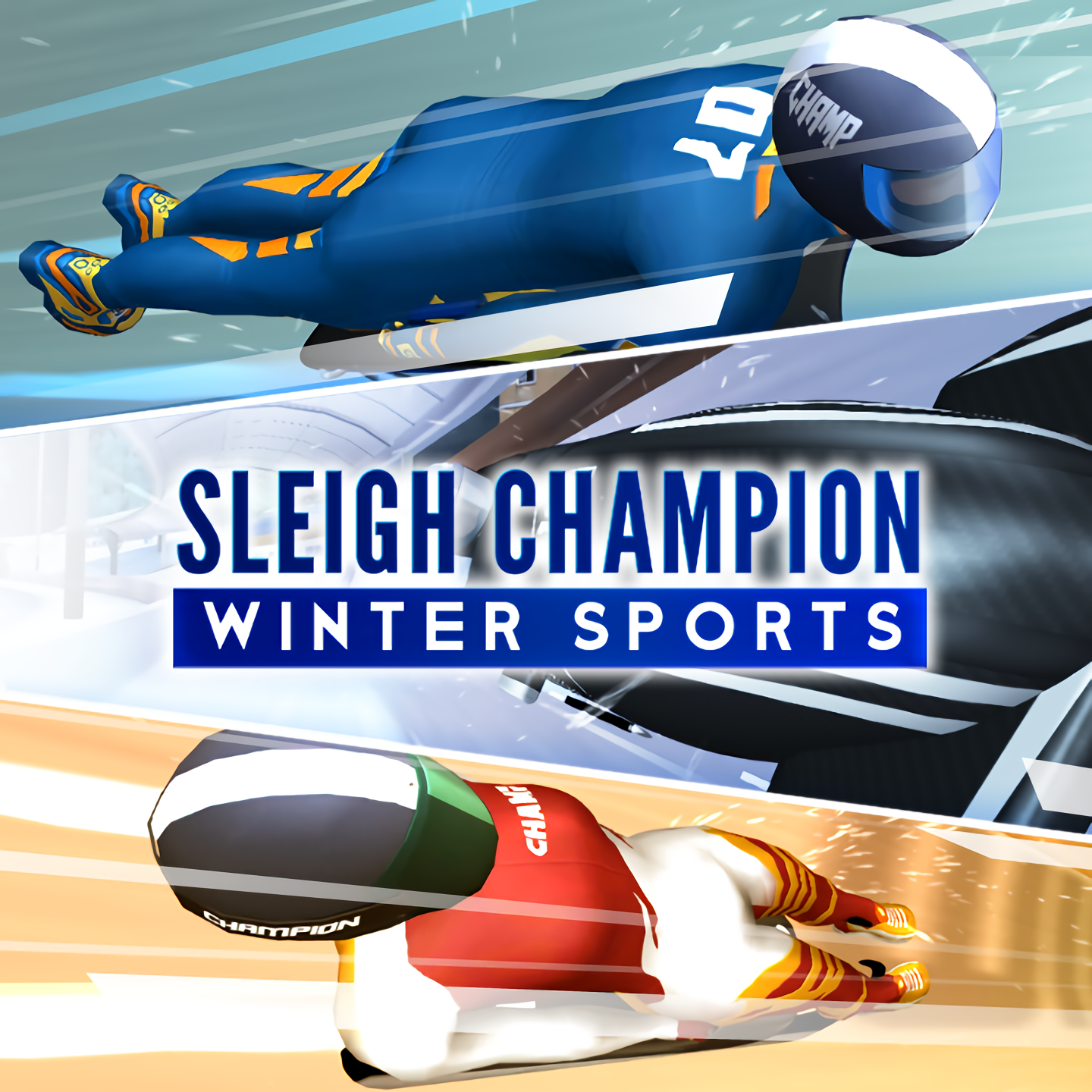 Sleigh Champion Winter sports | WelCon marketplace